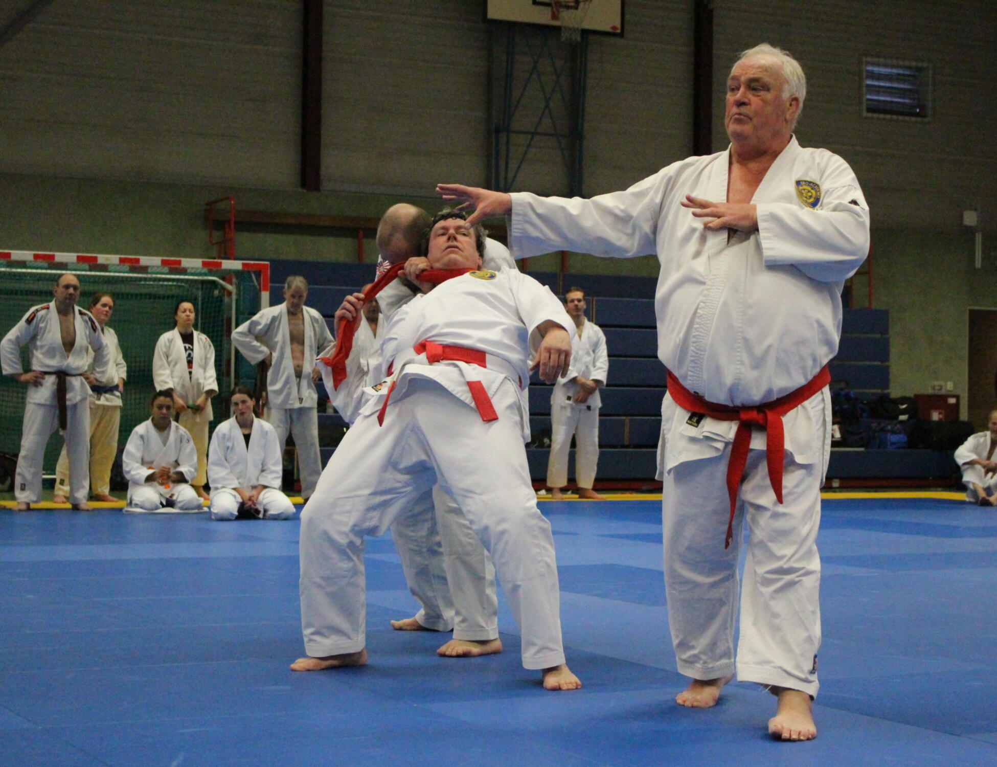 Judo Bond Nederland | Topstage Jiujitsu 2 maart 2024 door Mario den…